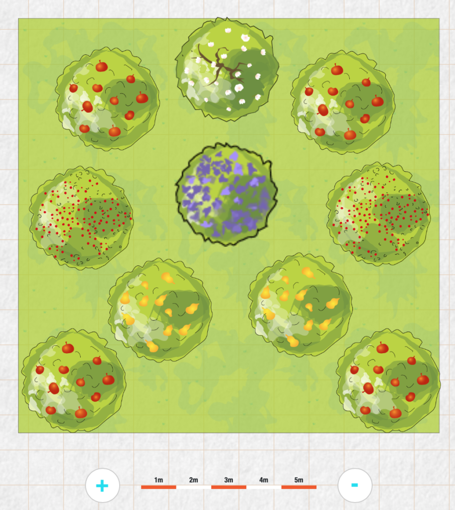 Current Orchard Designs - Land 4 Life