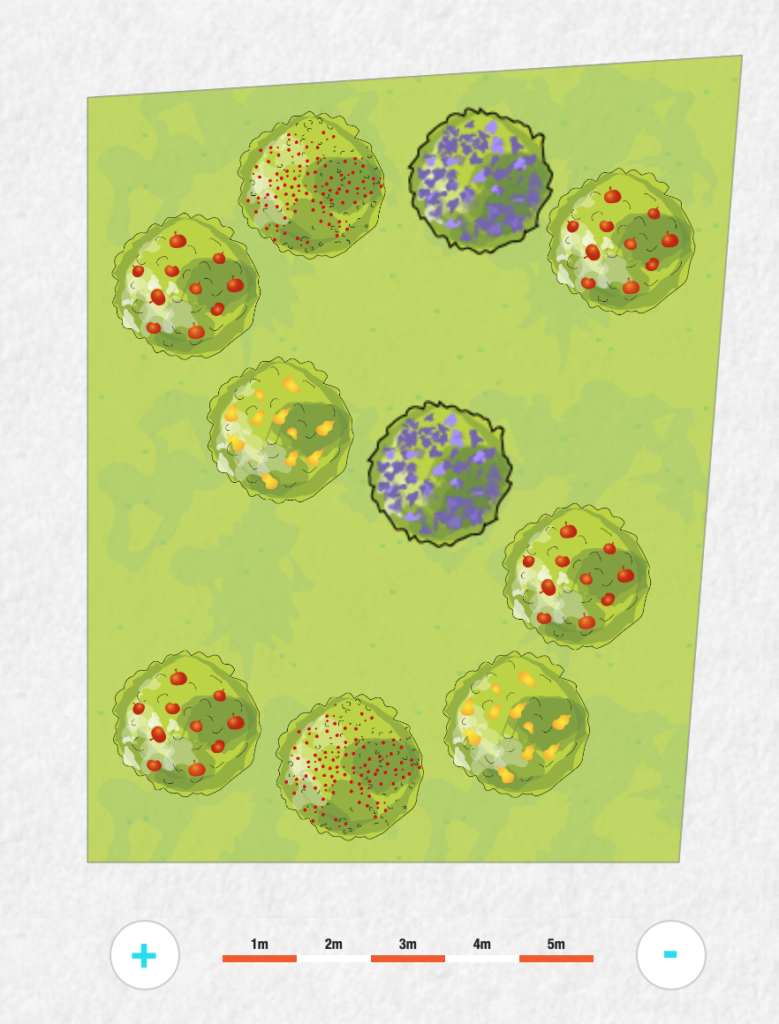 Current Orchard Designs - Land 4 Life