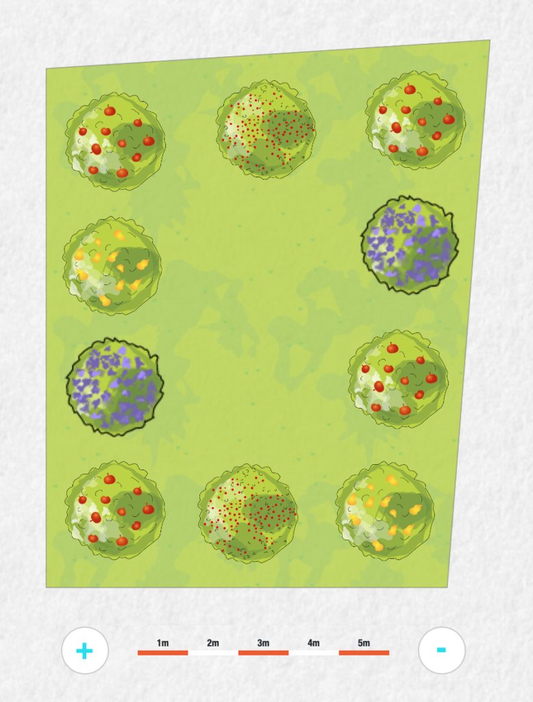 Current Orchard Designs - Land 4 Life